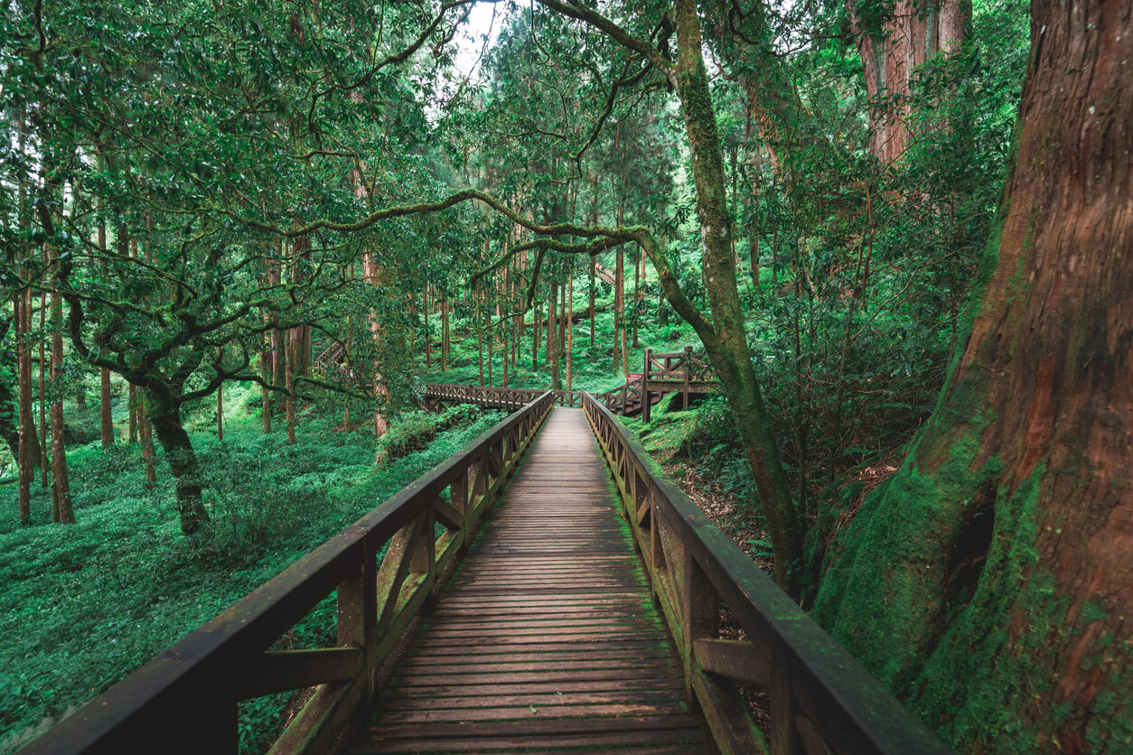 Supreme Court’s Cert Denials Pave Way for Surge in Environmental ...